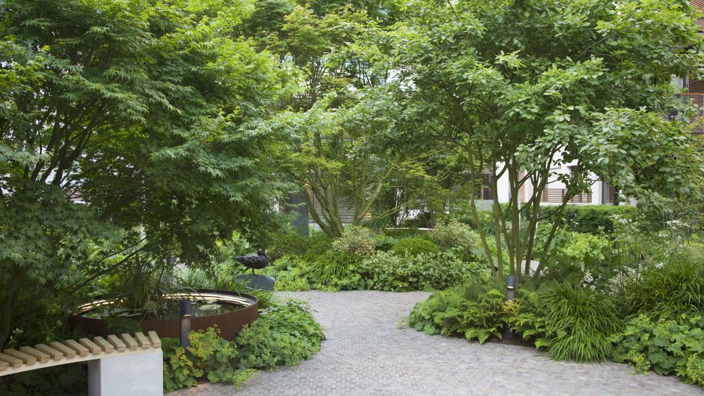 10 best wind-resistant shrubs for protection as well as color | Homes ...