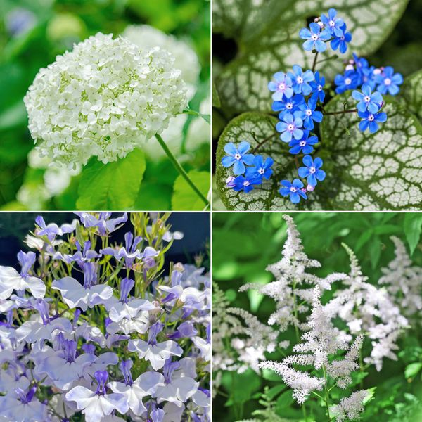 Tips & Information about Ornamental Gardens | Gardening Know How
