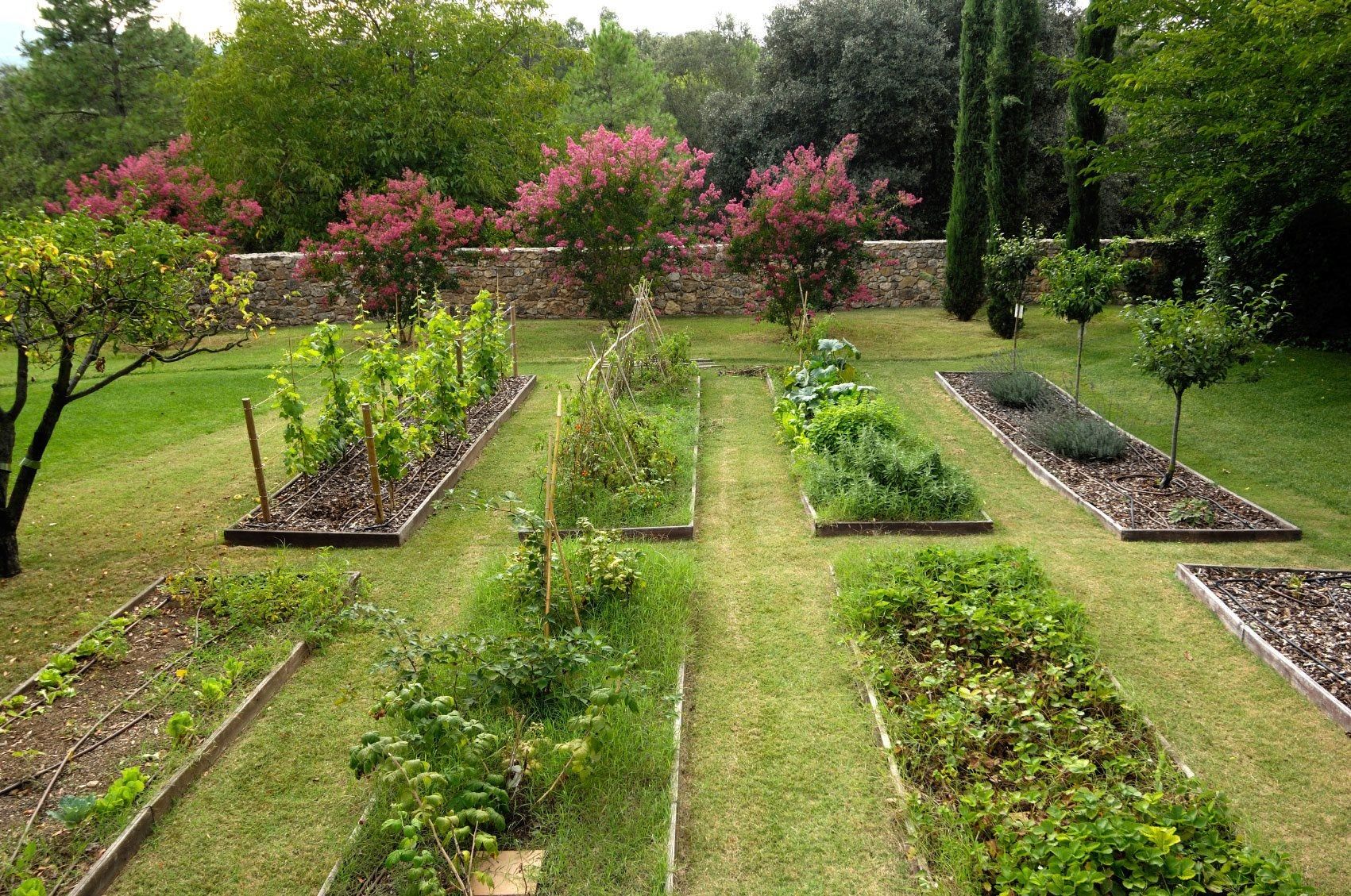 Tips On Choosing A Garden Location For Vegetables | Gardening Know How