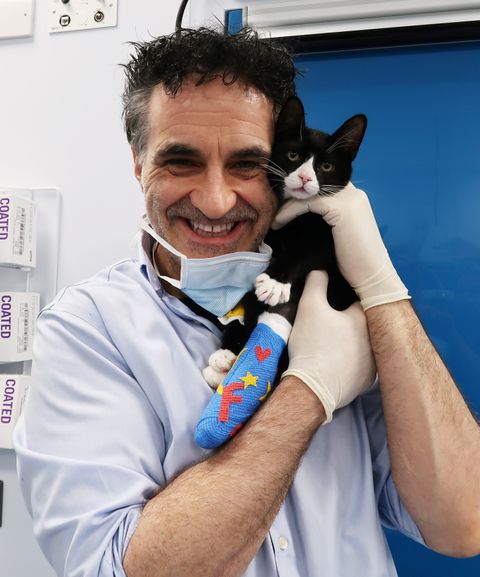The Supervet season 17: pets, air date and all we know | What to Watch