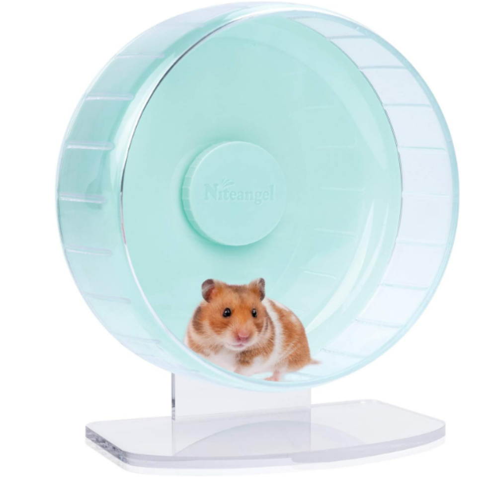 Best hamster toys 2025 for keeping your furry friend happy | PetsRadar