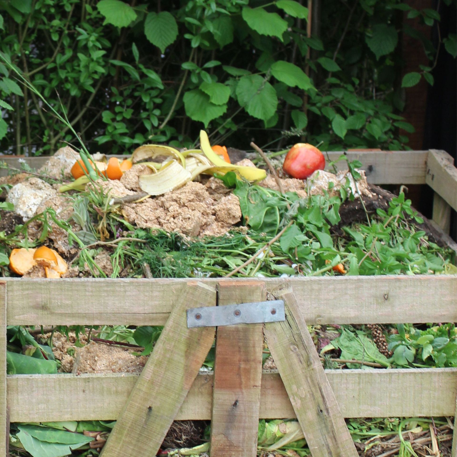 5 things you should never put in your garden waste bin | Ideal Home