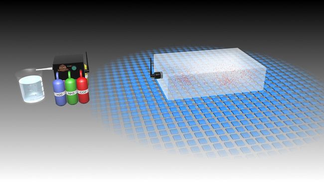 'Toy Universe' Could Solve Life's Origins | Space