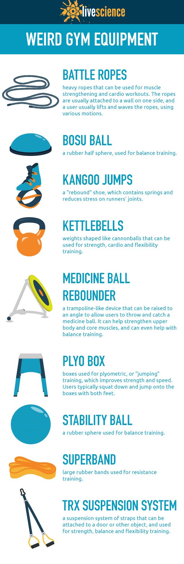 Everything You Need to Know About Strength Exercise | Live Science