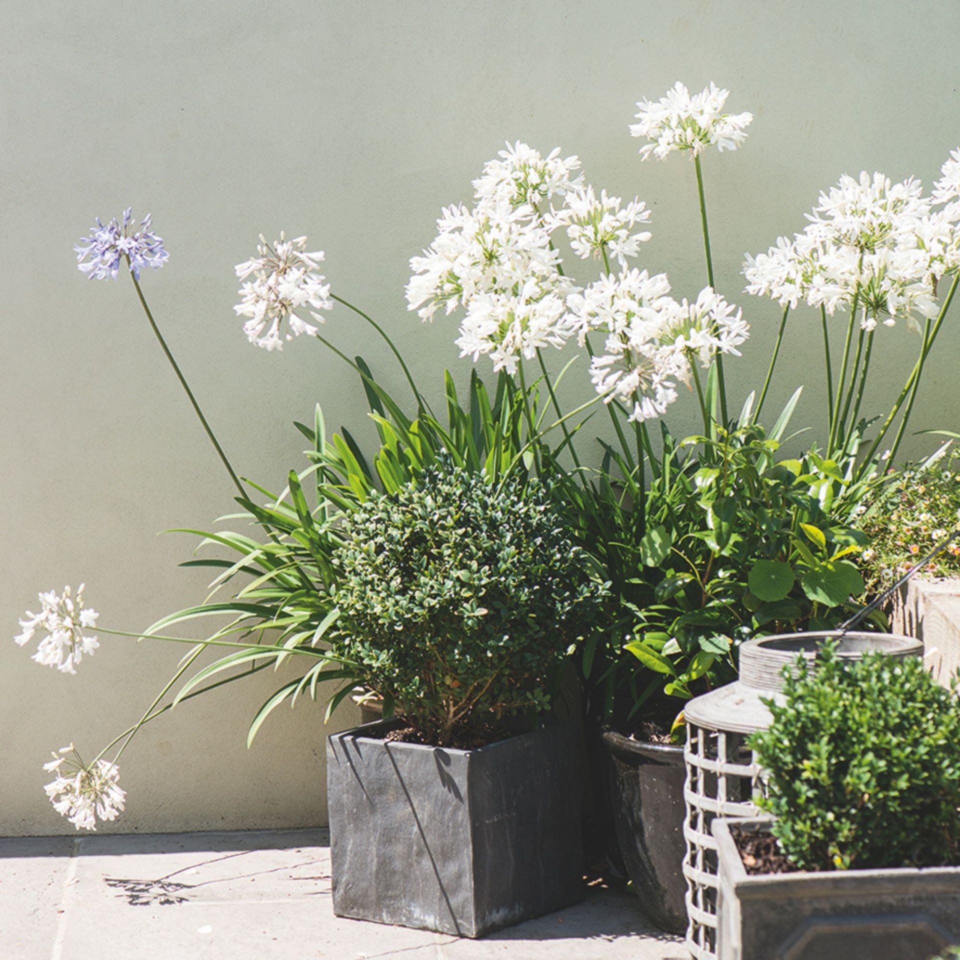 How to plan a small garden — 6 expert tips | Ideal Home