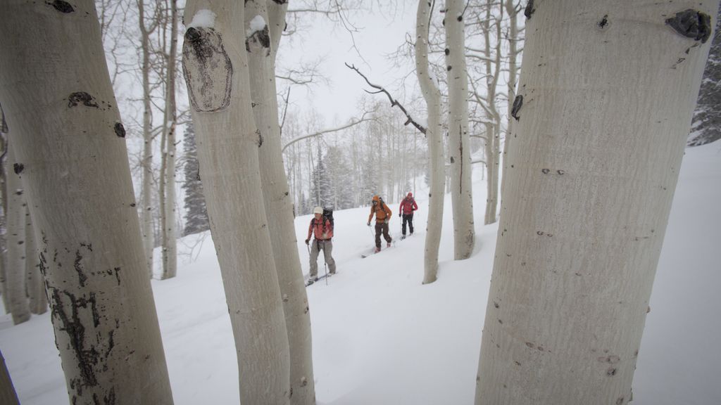 Snowshoeing in Utah: snow capped canyon adventure | Advnture