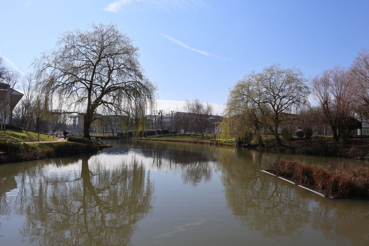 Hands-on Canon PowerShot V1 review: is this compact camera comeback a ...