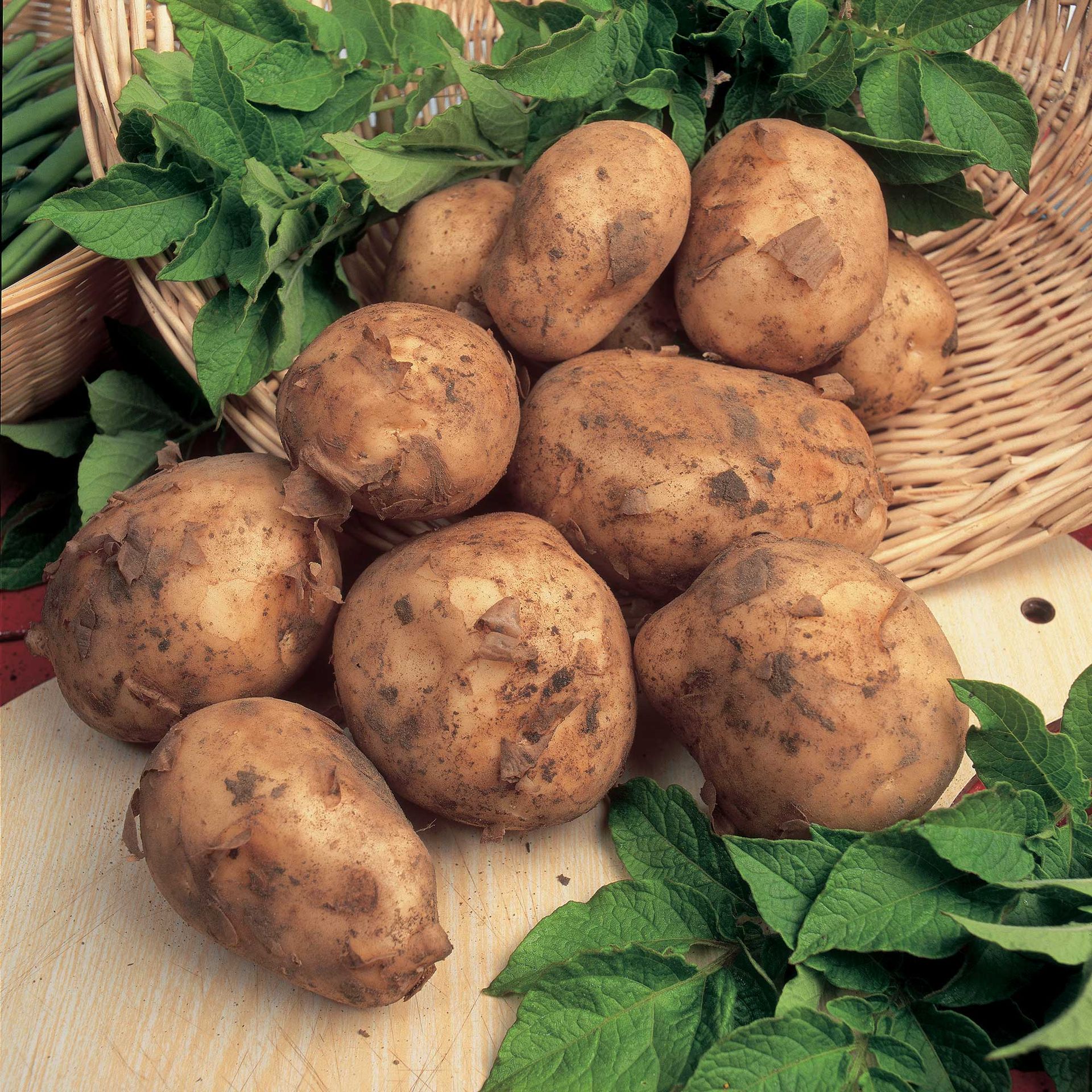 How to grow potatoes: a guide for homegrown spuds | Ideal Home