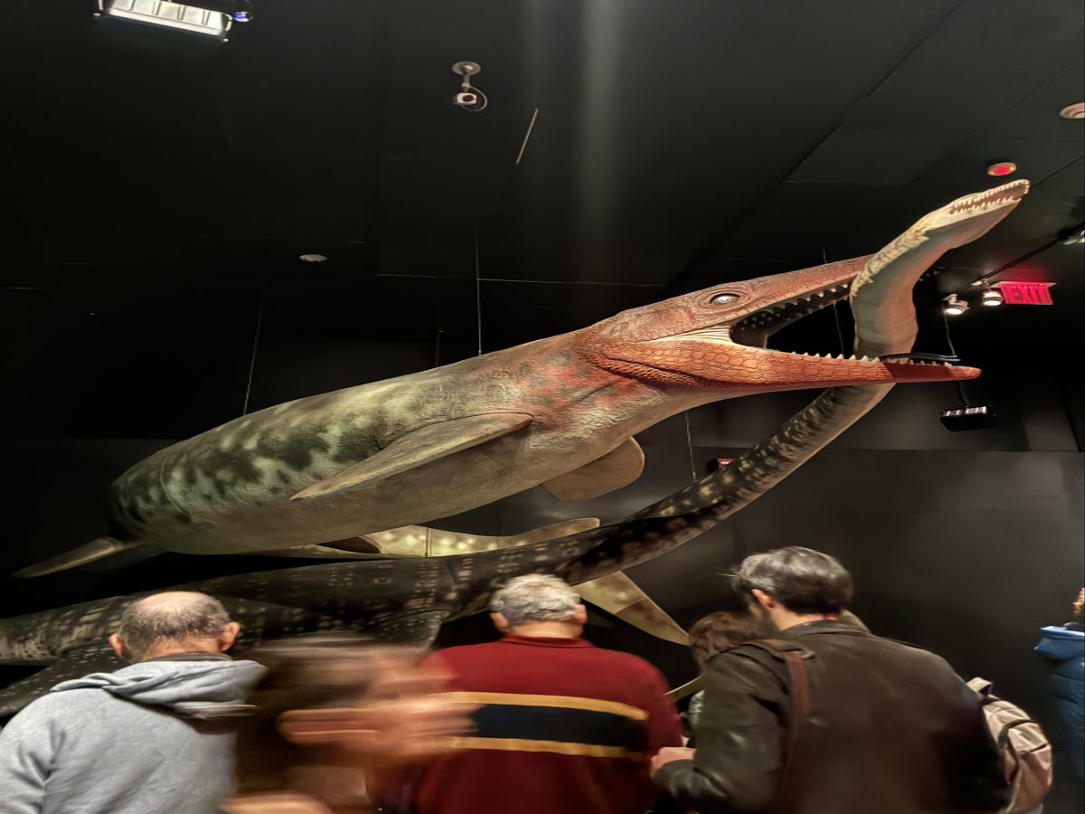 Walk through the asteroid strike that killed the dinosaurs with ...