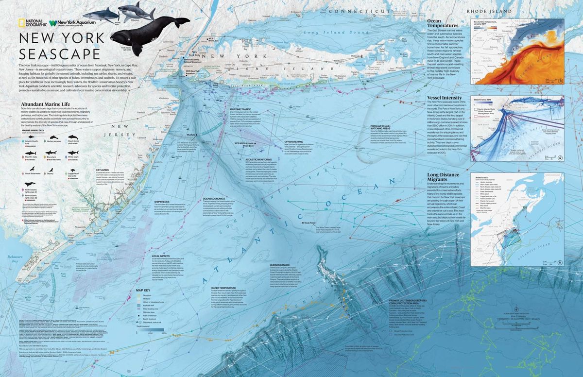 NYC's Hidden Marine Wonderland Revealed in New Map | Live Science