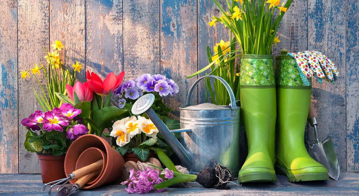 Gardening jobs for April: 10 tasks to give your garden a good spring ...