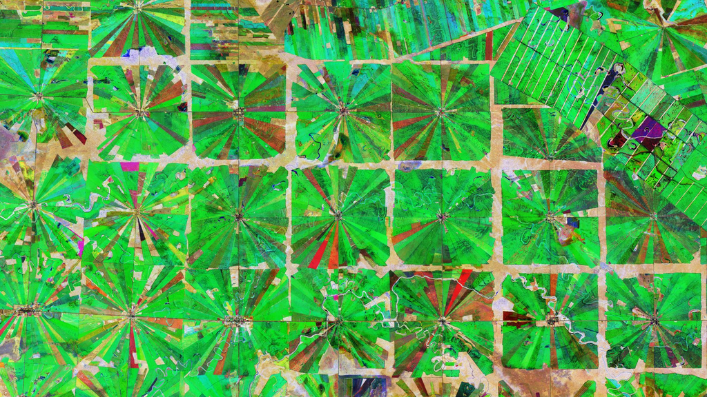 The world has a serious deforestation problem: These 7 images prove it ...