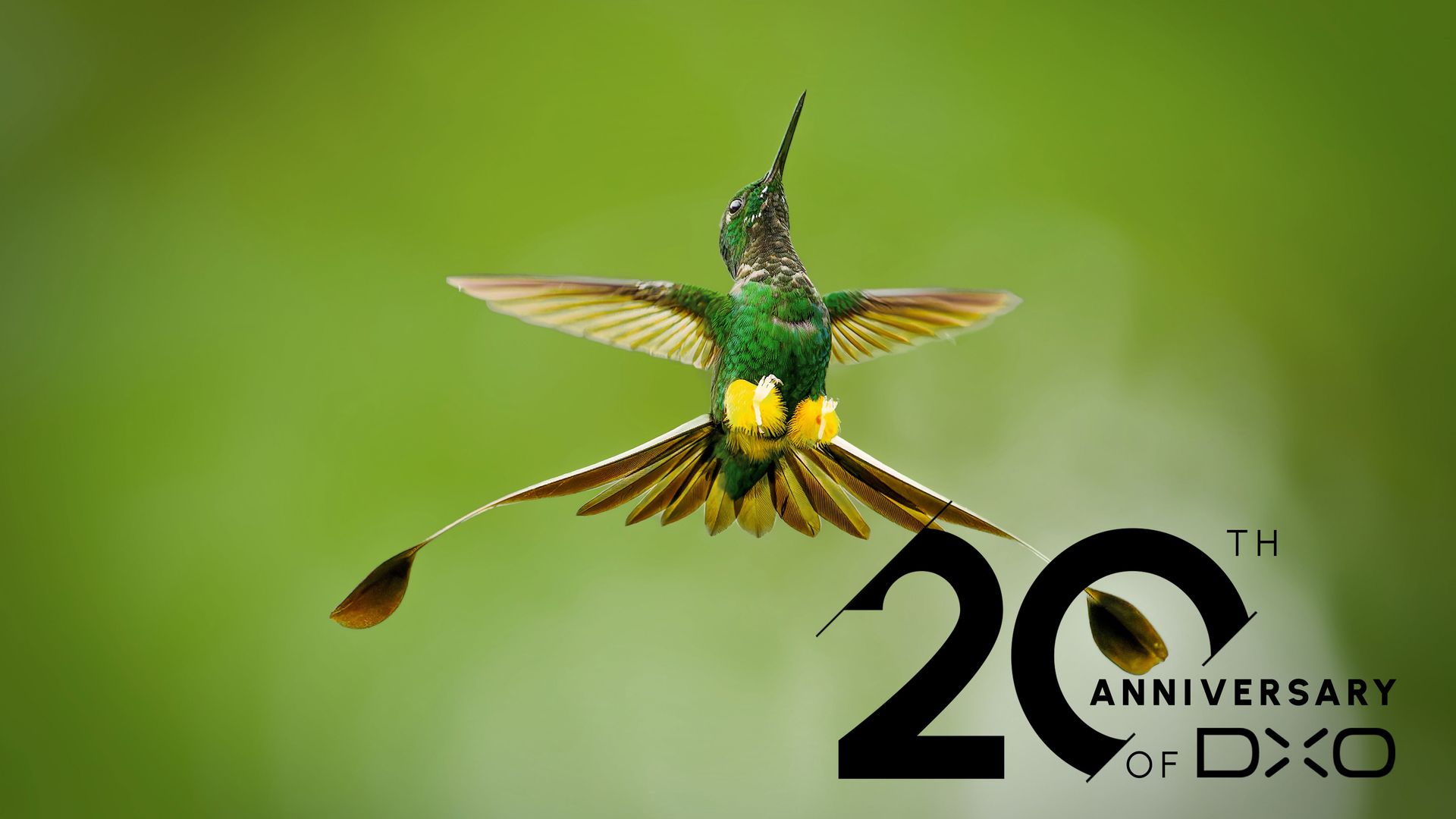 DxO PhotoLab 8 brings better denoising, lens corrections, curve tool ...