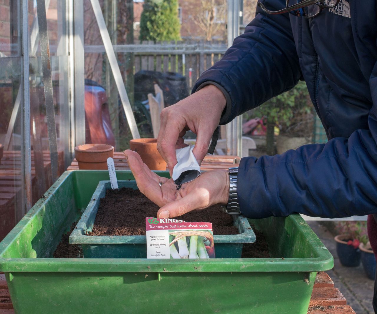 How to sow seeds indoors: tips from a professional gardener | Homes and ...