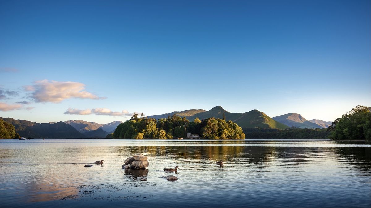 What is a Frog Graham Round? | Advnture