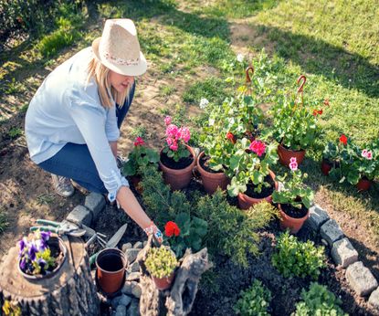 How to plant a scented border for year-round perfume | Homes and Gardens