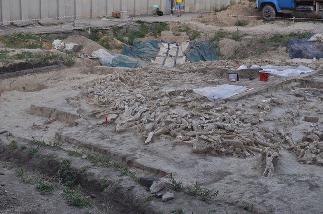 Ice age 'house' made from bones of more than 60 mammoths mystifies ...