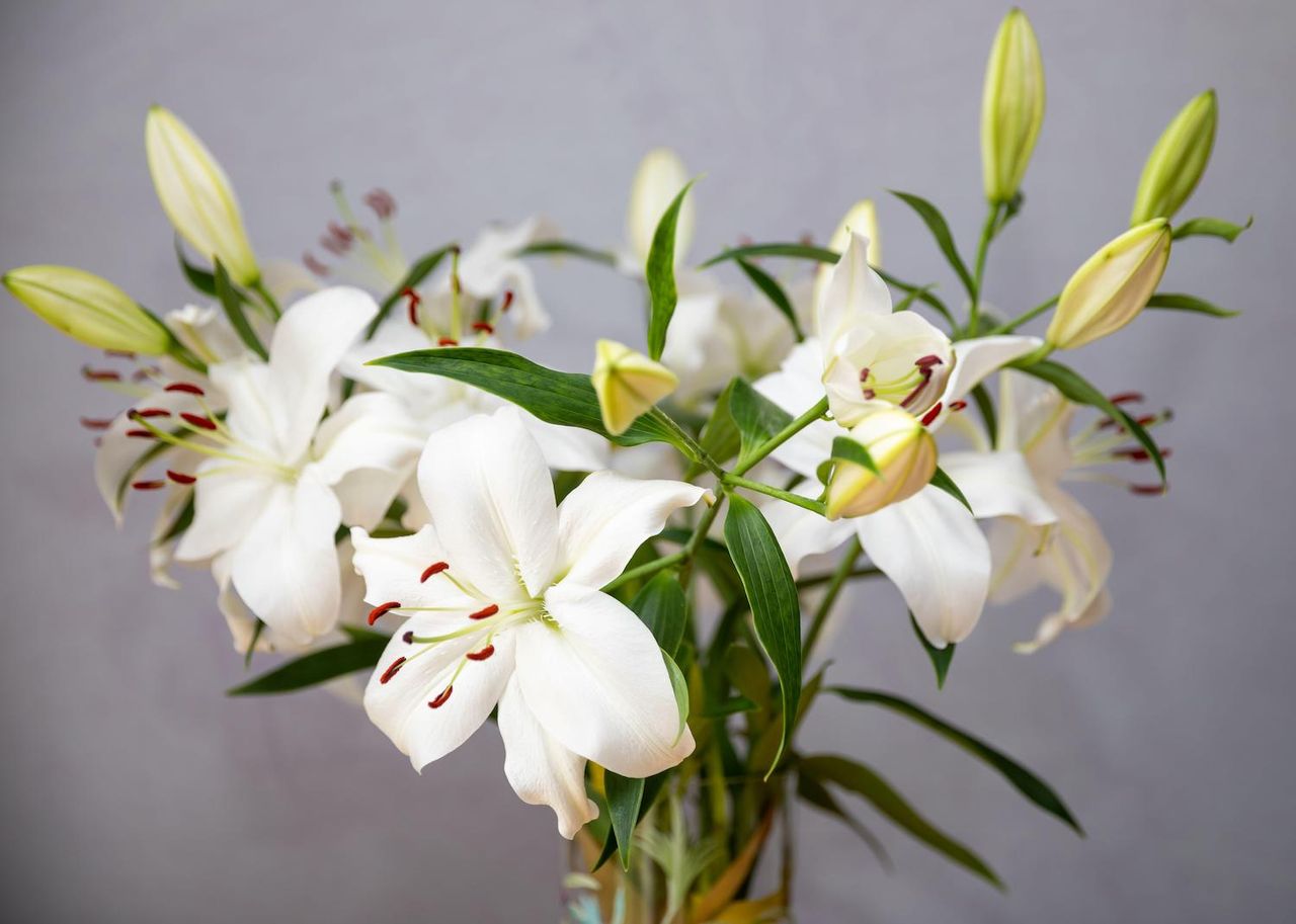 How to take care of lilies in a vase - 5 expert tips | Livingetc