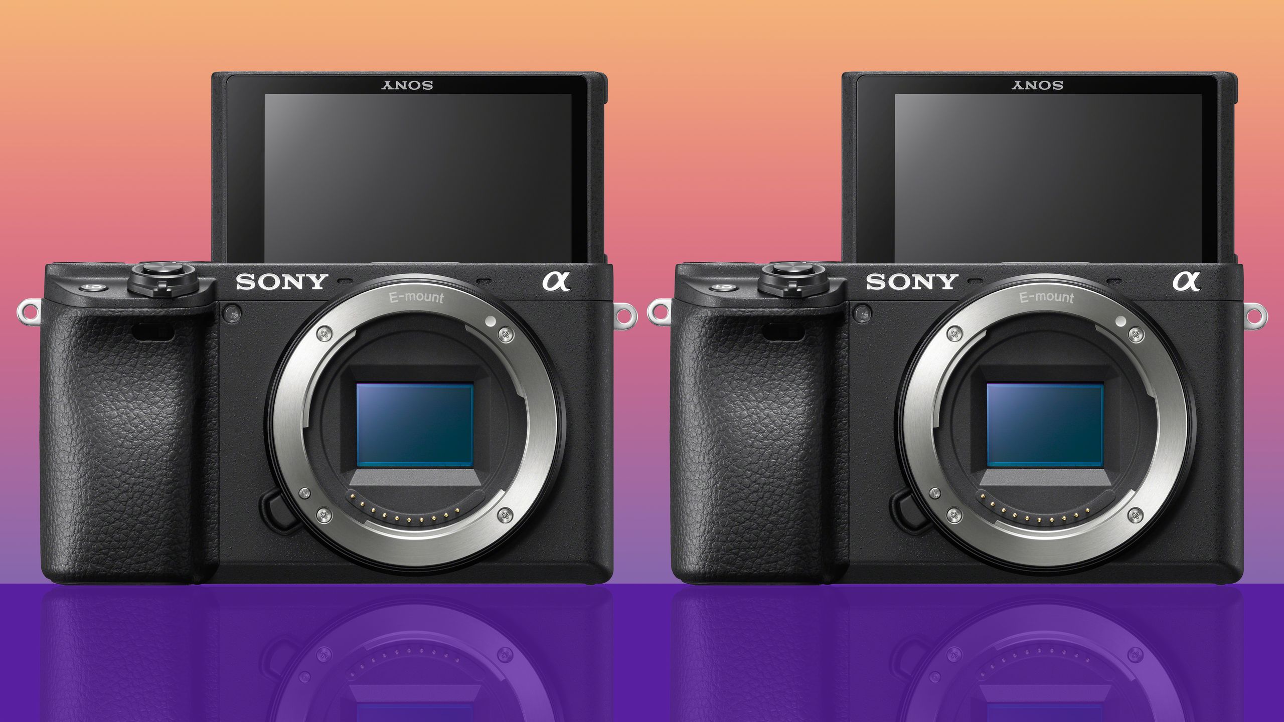 Sony stealth-launches two new mirrorless APS-C cameras | Digital Camera ...