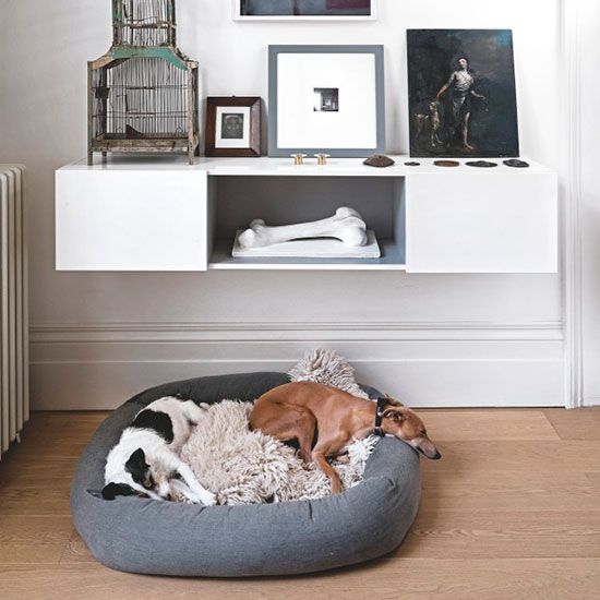 10 ways to tell there's a dog in your house | Ideal Home