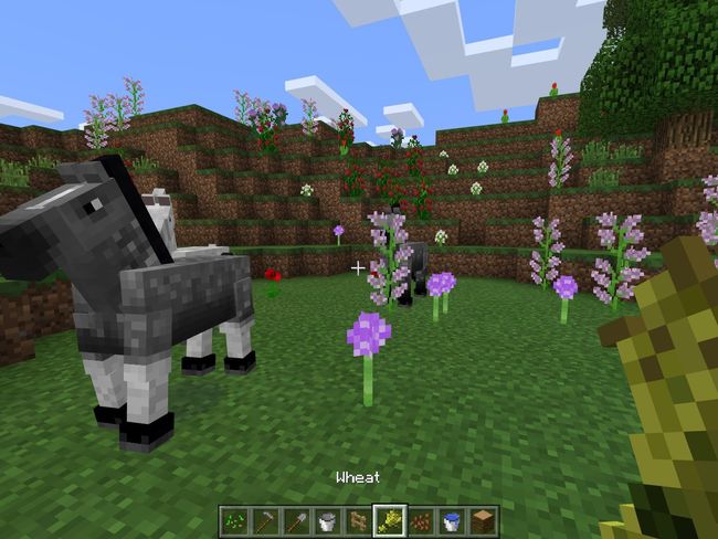Beginner's guide to naturally occurring blocks Minecraft: Windows 10 ...