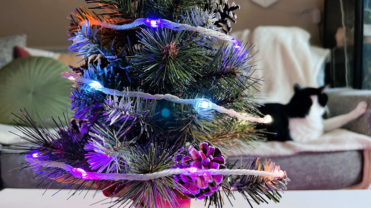 Govee Christmas String Lights review | TechRadar