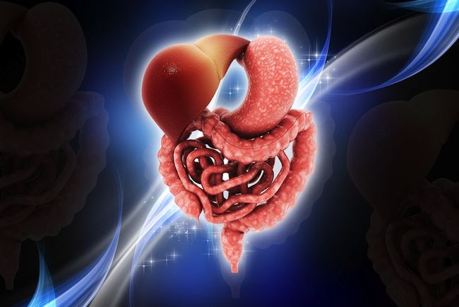 11 Surprising Facts About the Digestive System | Live Science