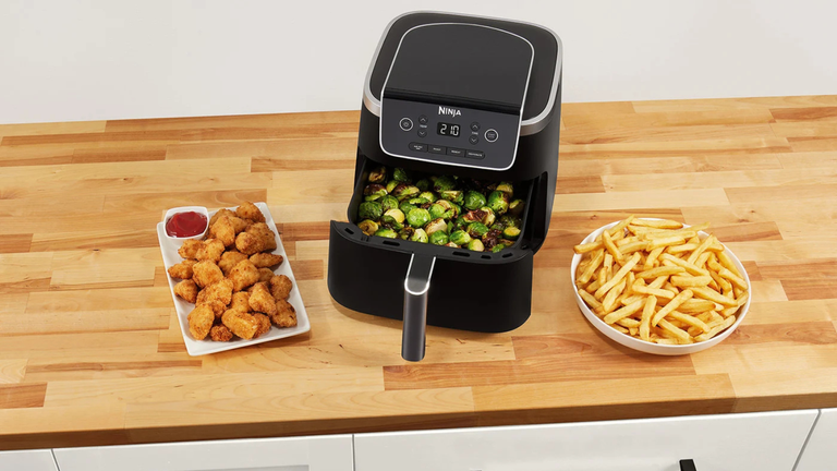 Ninja Air Fryer Pro 4-in-1 review | Homes and Gardens