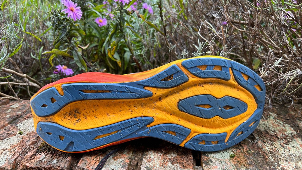 Asics Novablast 3 Review | Coach