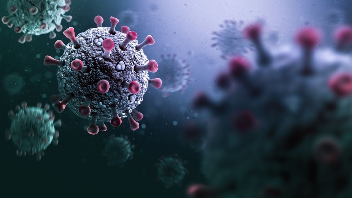 Inflammation is a 'mismatch between our evolutionary history and modern ... Inflammation is a 'mismatch between our evolutionary history and modern ...