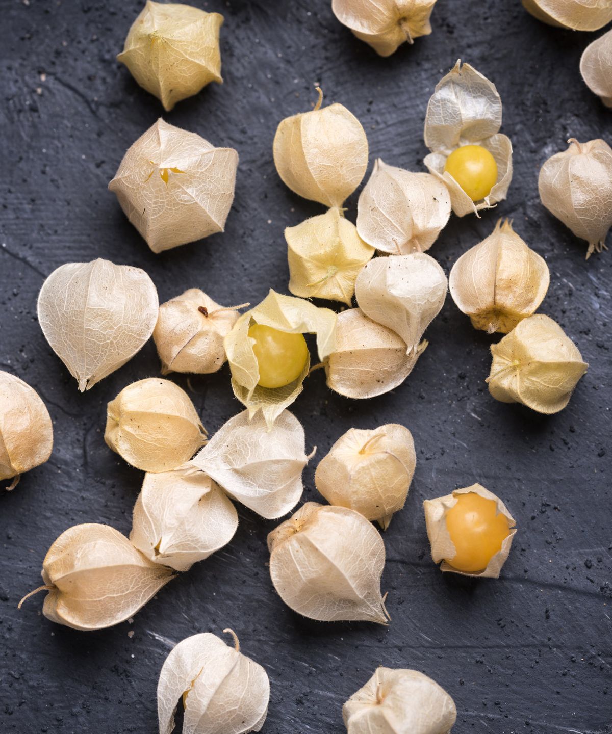 How to grow ground cherries for bumper harvests of fruit | Homes and ...