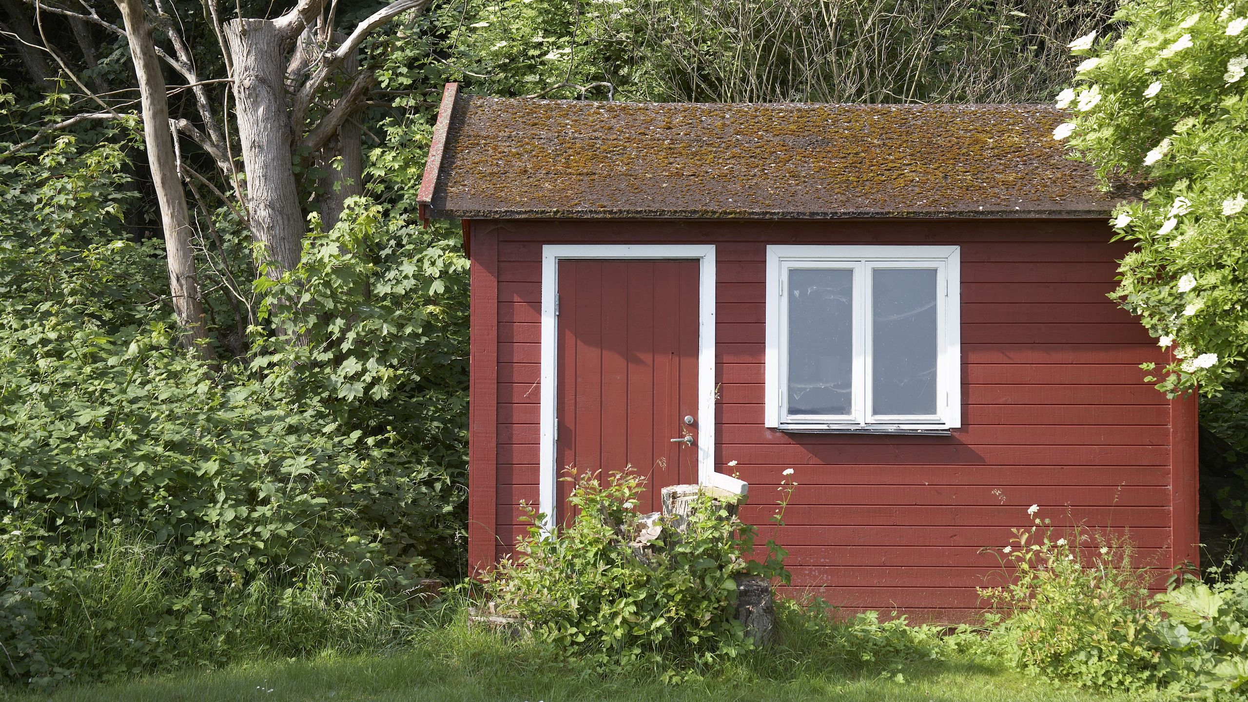 How to choose the best shed security alarms and systems to keep the ...