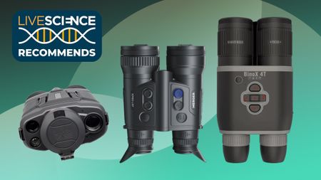 Best binoculars 2025: Our picks for stargazing, bird watching and ...