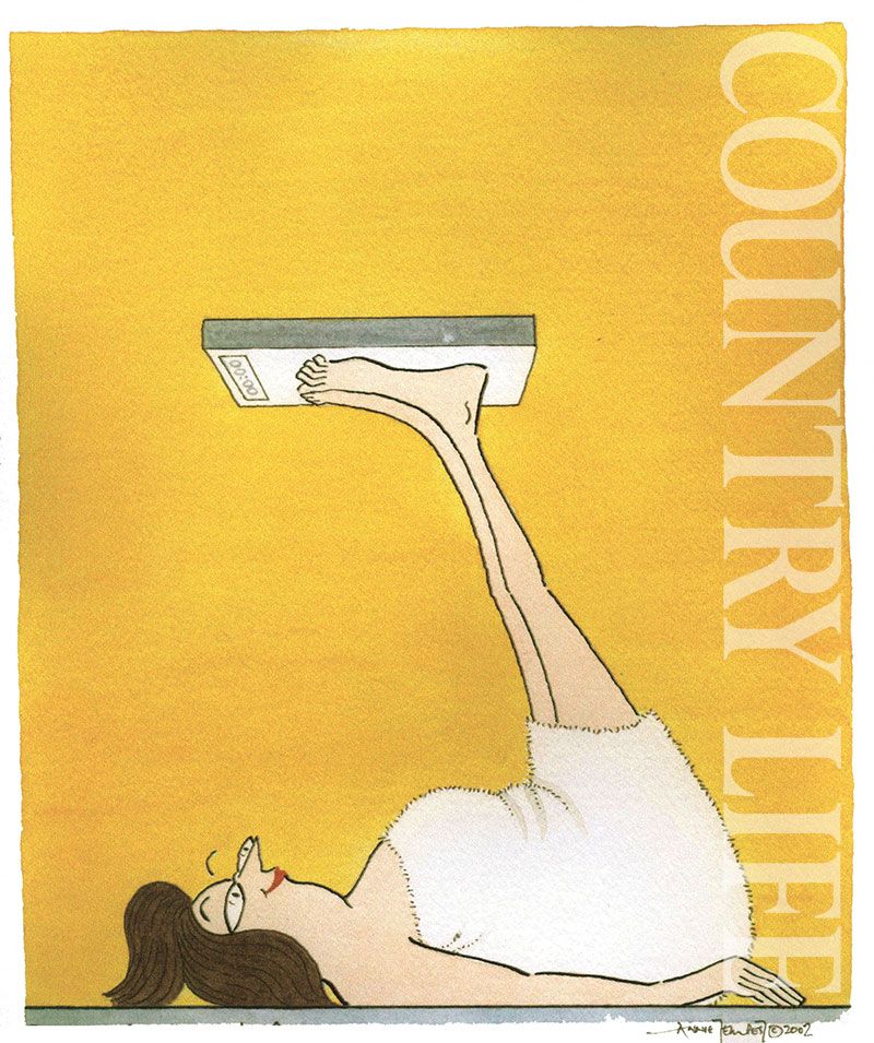 10 of the best Tottering-by-Gently cartoons from 25 years in Country ...