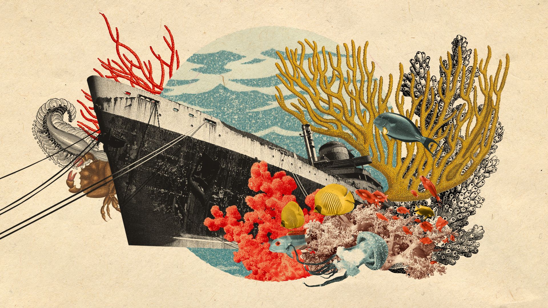 An iconic ship is being turned into the world's largest artificial reef ...