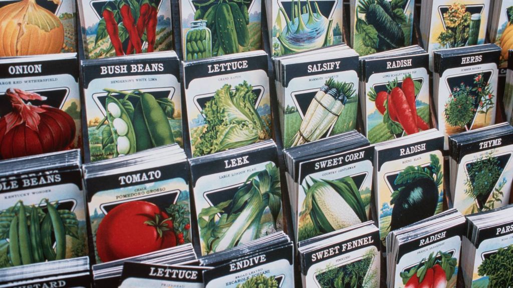 Where To Buy Seeds: Find High-Quality Seeds For Your Garden | Gardening ...