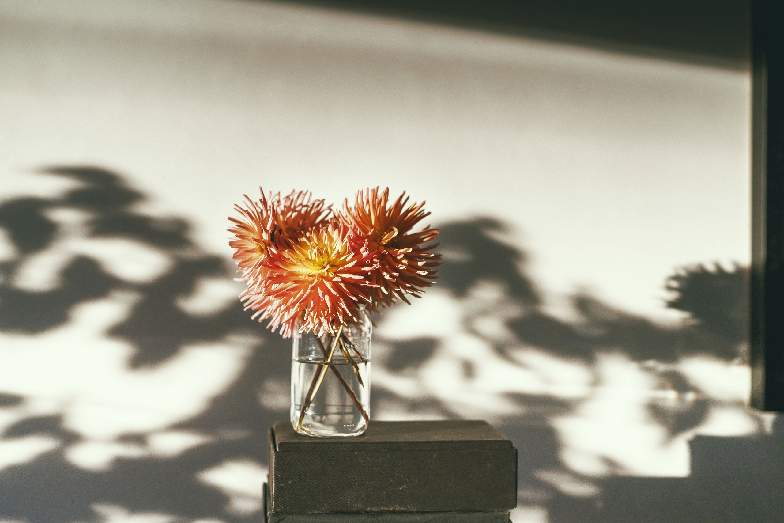 Play with shadows | Digital Camera World