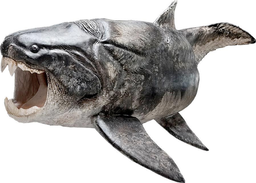 Evolution's Bite: Ancient Armored Fish Was Toothy, Too | Live Science
