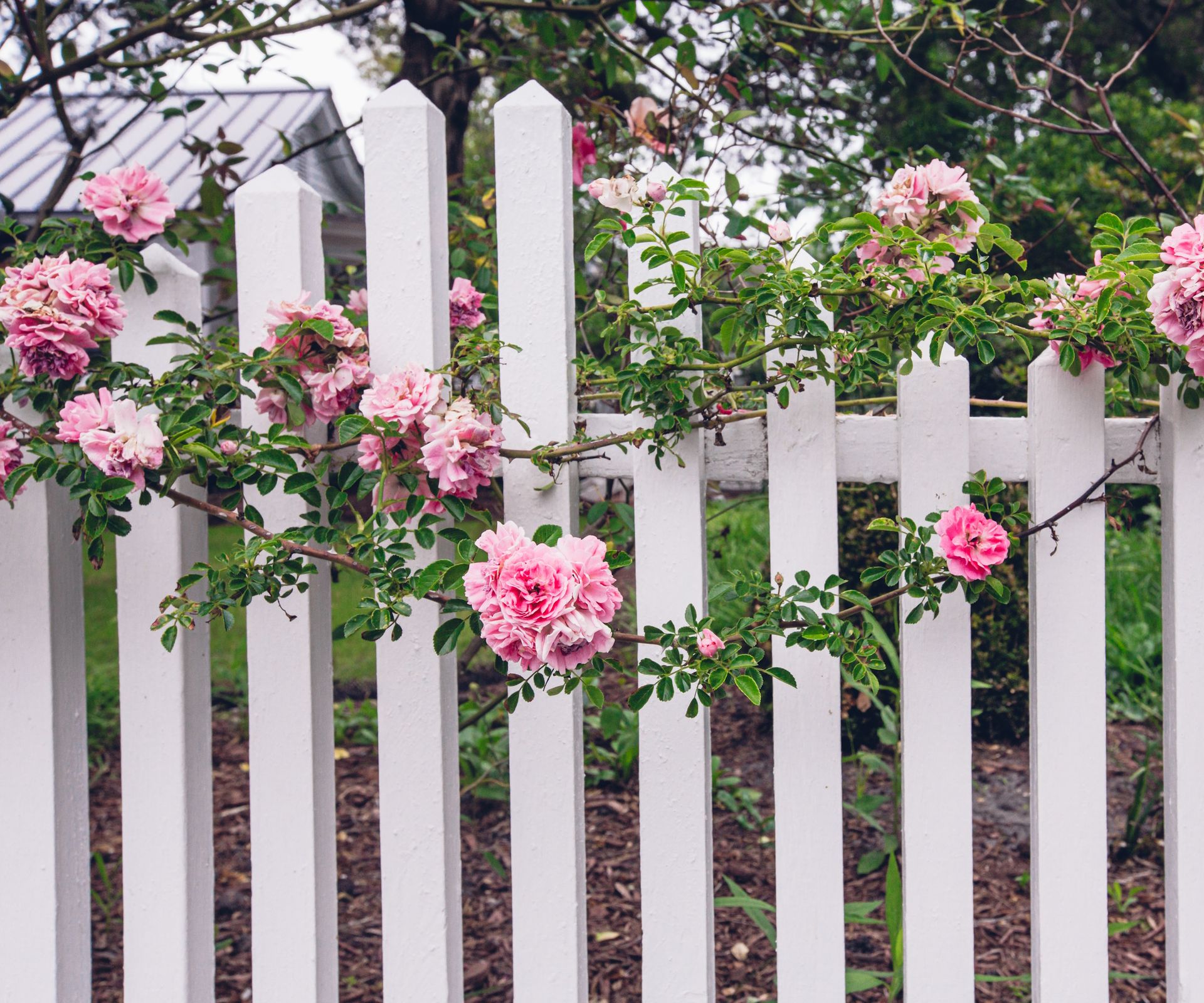Best colors to paint a fence to make a yard look bigger | Homes and Gardens