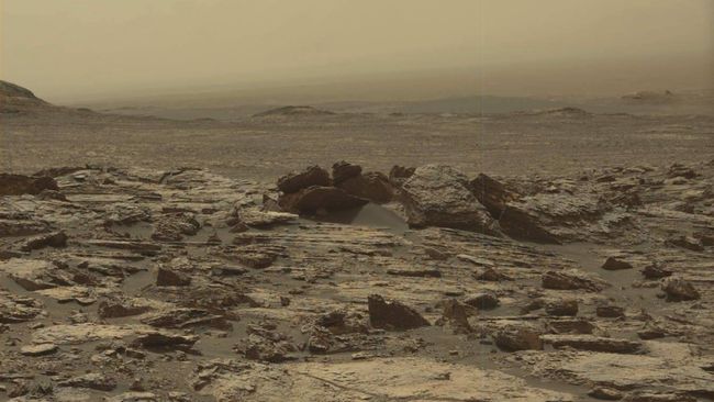 Long ago, a lake on Mars might have been sprawling with microbes | Space