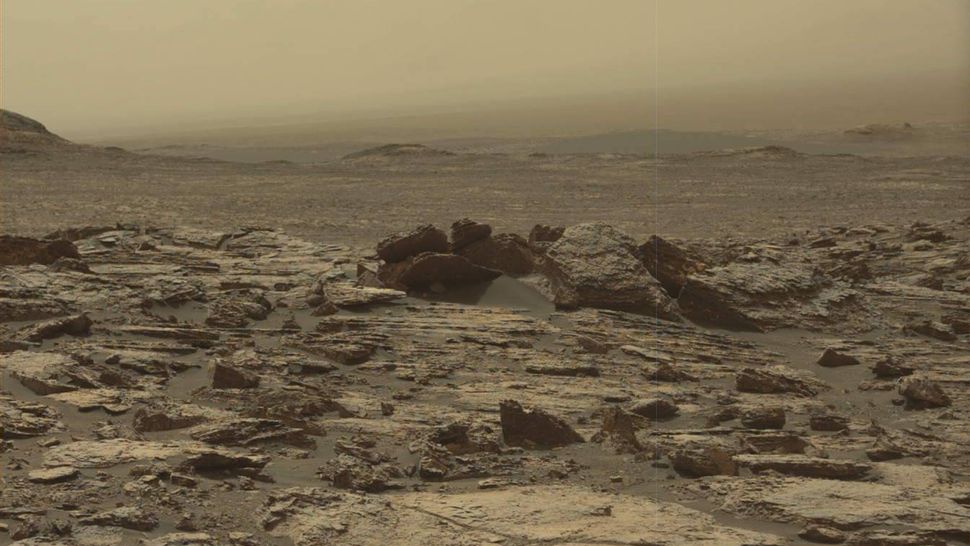 Long ago, a lake on Mars might have been sprawling with microbes | Space