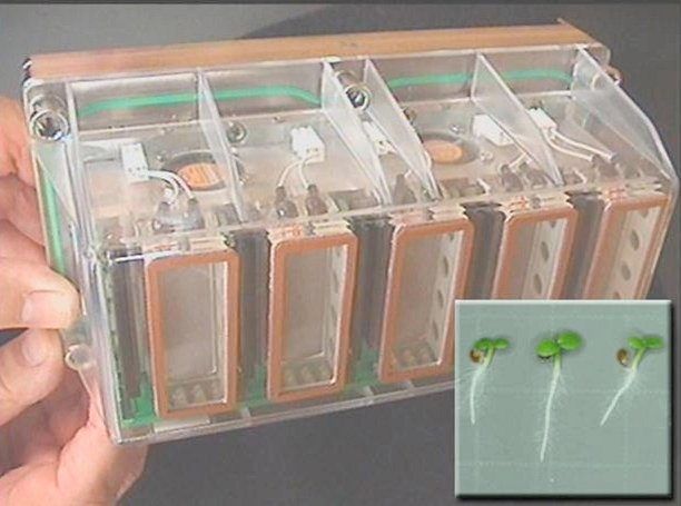 Private SpaceX Capsule Brings Big Science to Space Station | Space