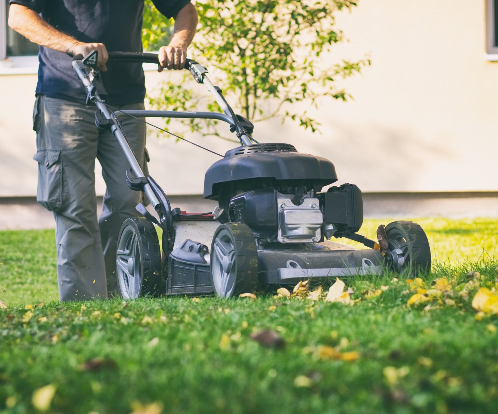 When to time the final mow before winter: expert tips | Homes and Gardens