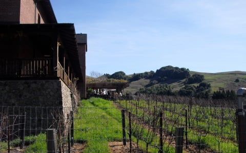 Star Wars Parents Raise The Next Generation Of Fans At Skywalker Ranch ...