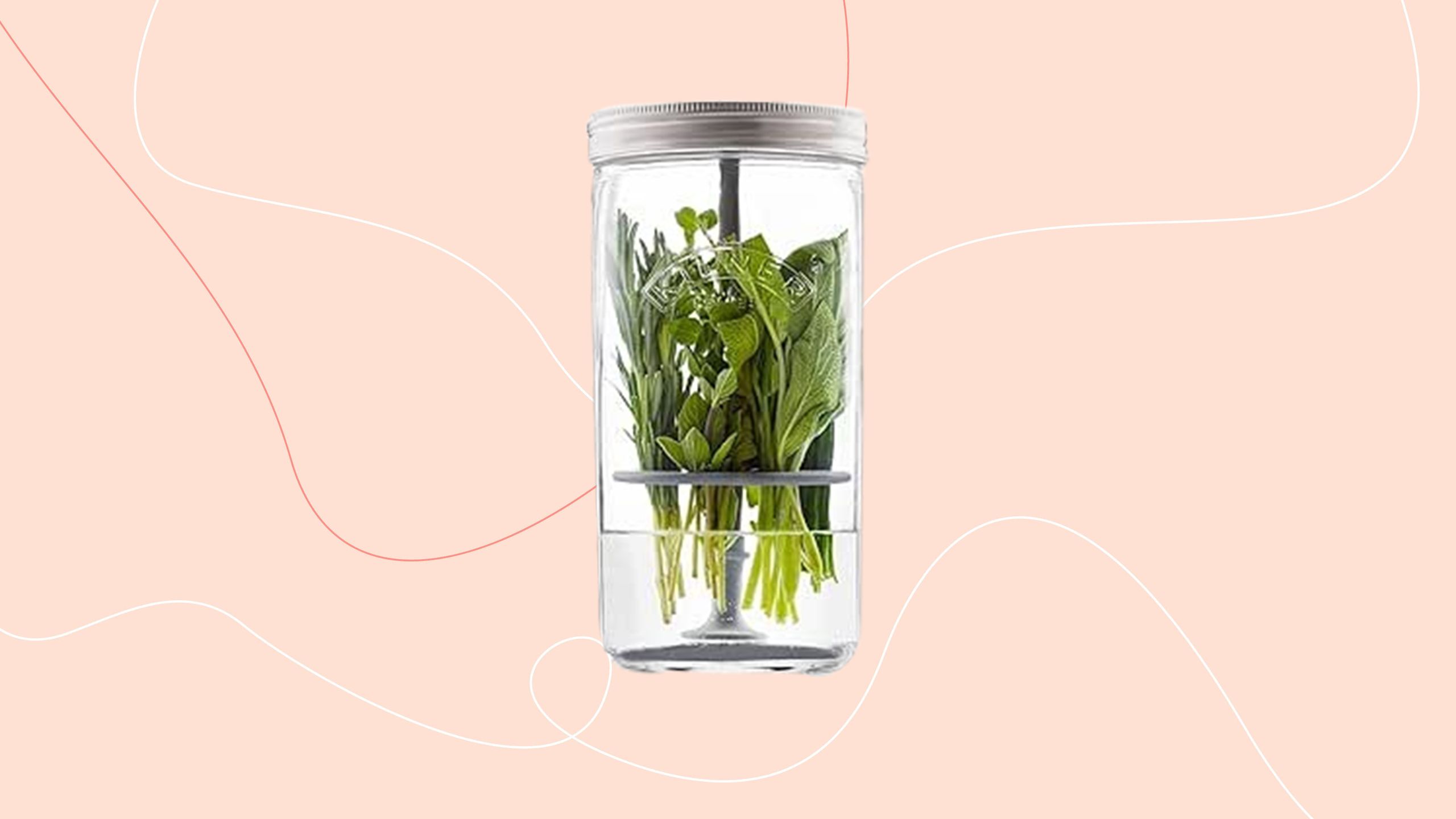 Transform your cooking with this handy fridge herb storage | Ideal Home
