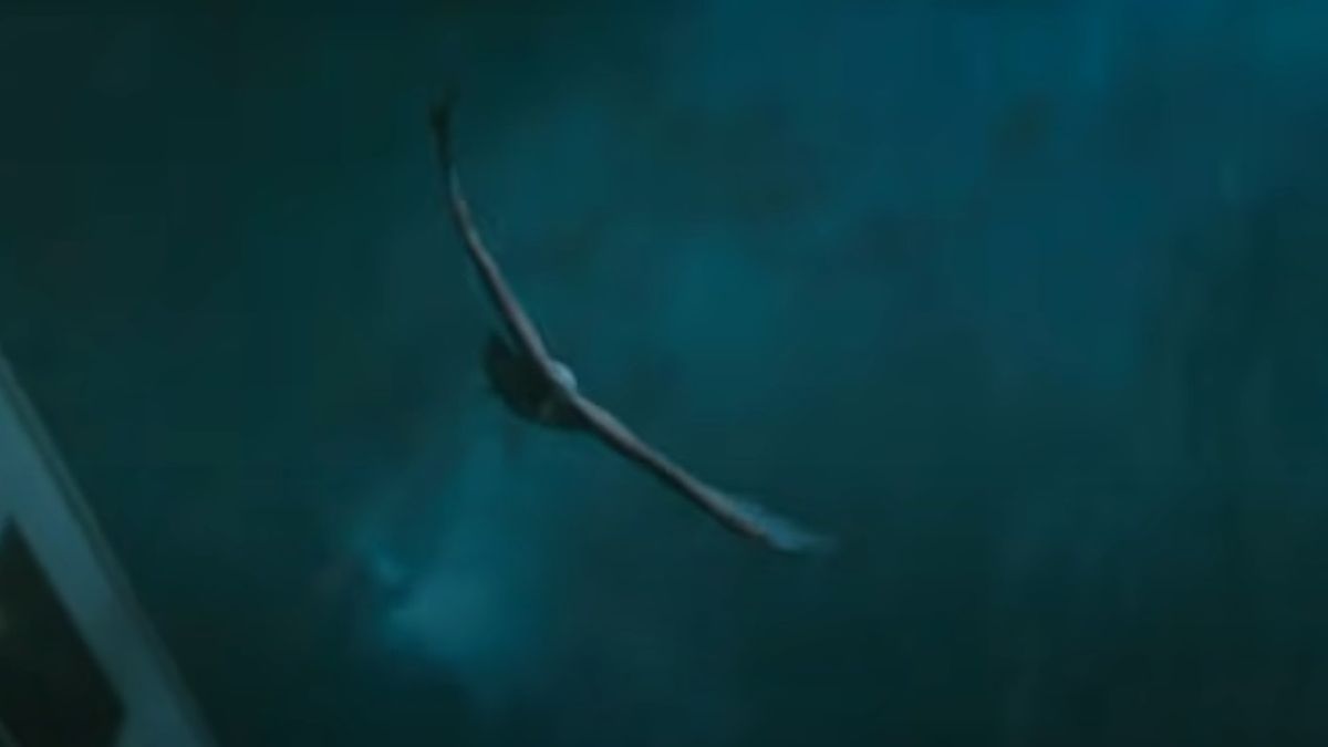 4 Reasons Why Lady In The Water Is Secretly M. Night Shyamalan's Hidden ...