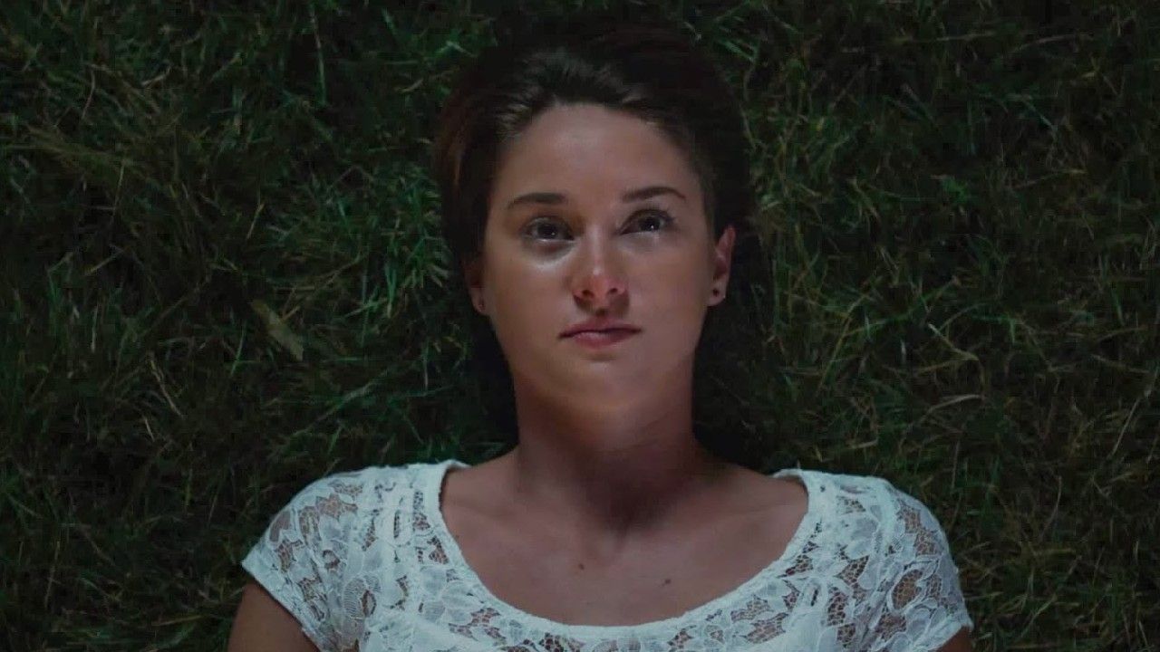 After Second Split From Aaron Rodgers, Shailene Woodley Shares Post About Dealing With Grief ...