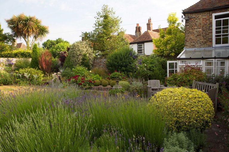 Real garden: explore this cottage garden with its colourful planting ...