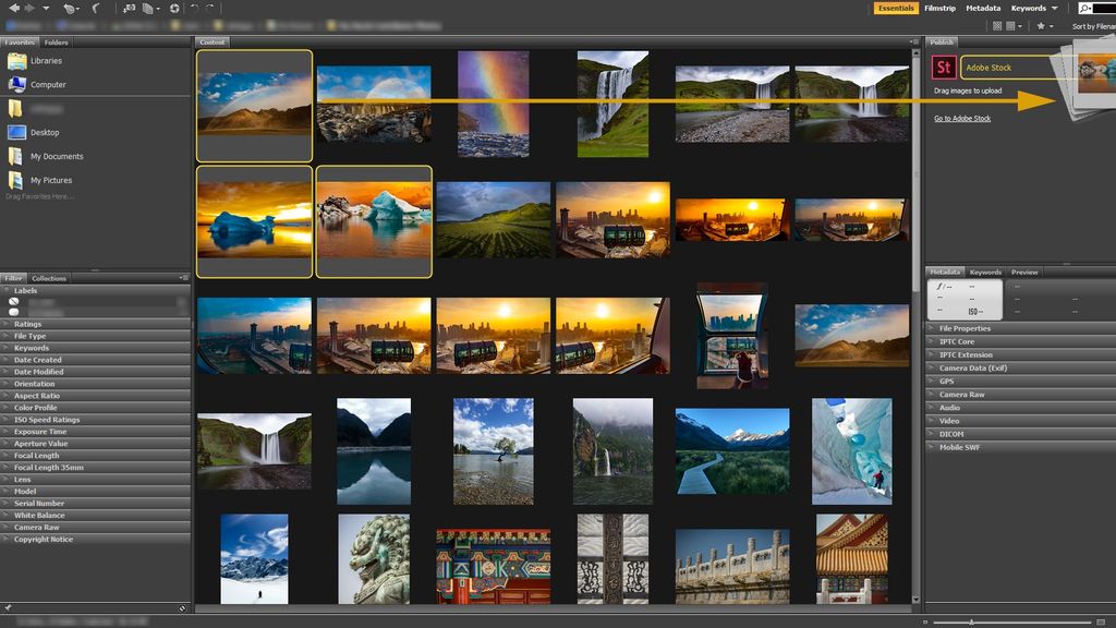 The best photo organizing software | Digital Camera World