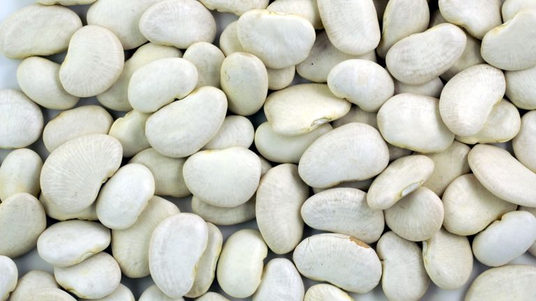 How to grow lima beans - expert tips for bumper harvests | Homes and ...